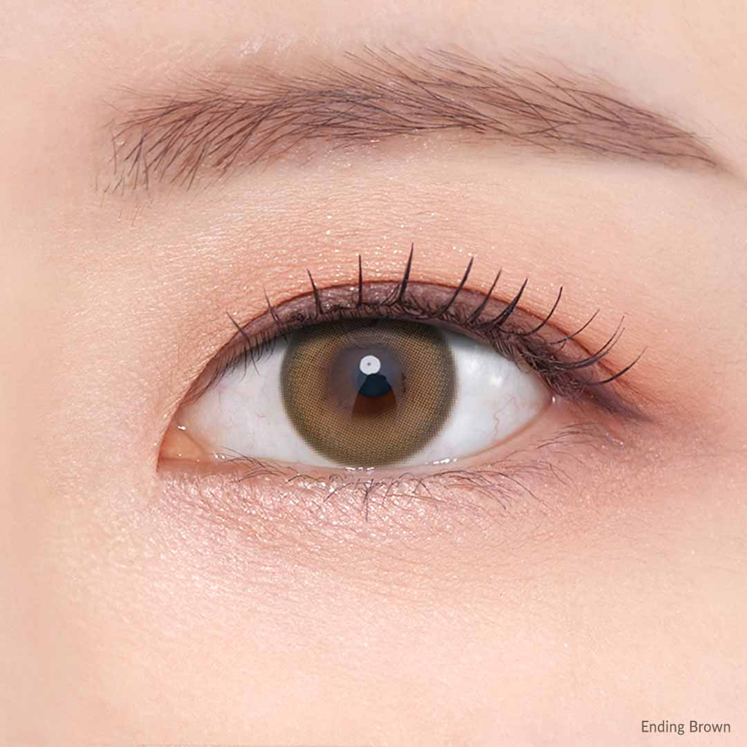 Daily Color Contact Lens - Ending Brown (0.00 Plano) - Premium Coloured ...