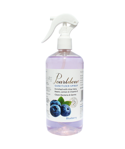 Hand Sanitizer (Spray) Blueberry 500 ml - maccaron
